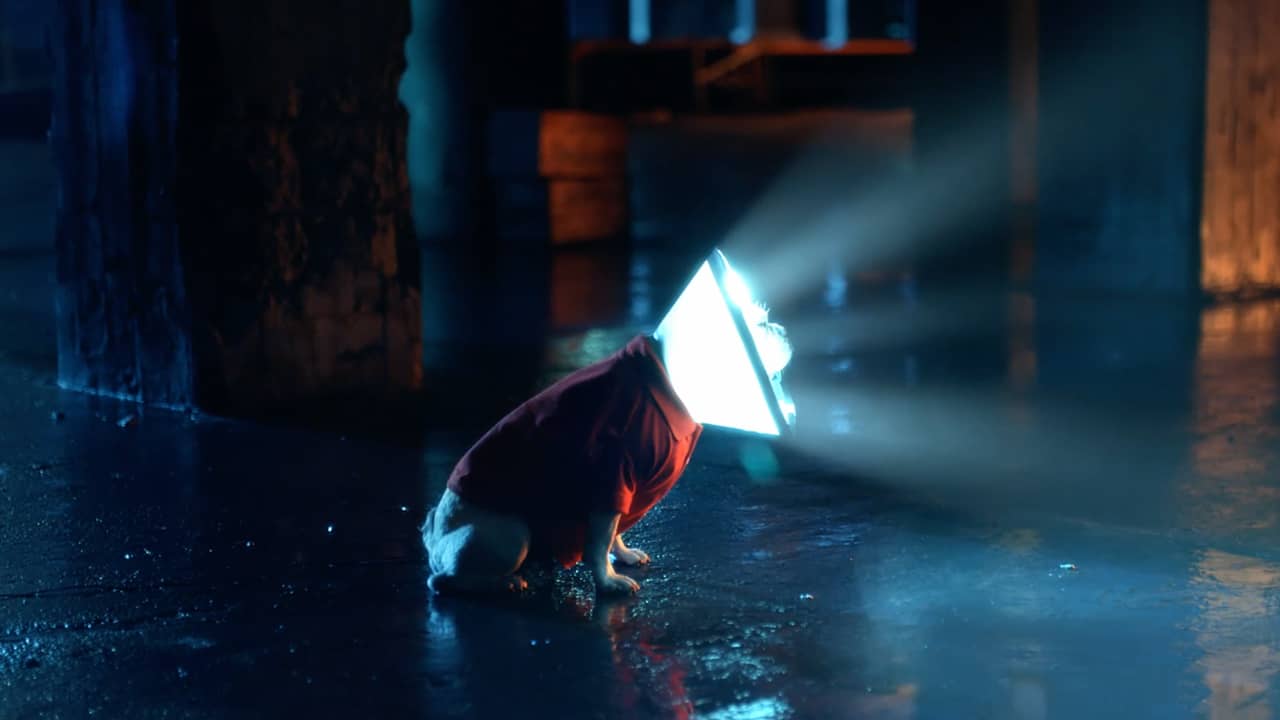 Steve Dogs (Eng) on Vimeo