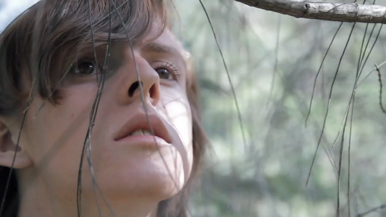 collection on Vimeo