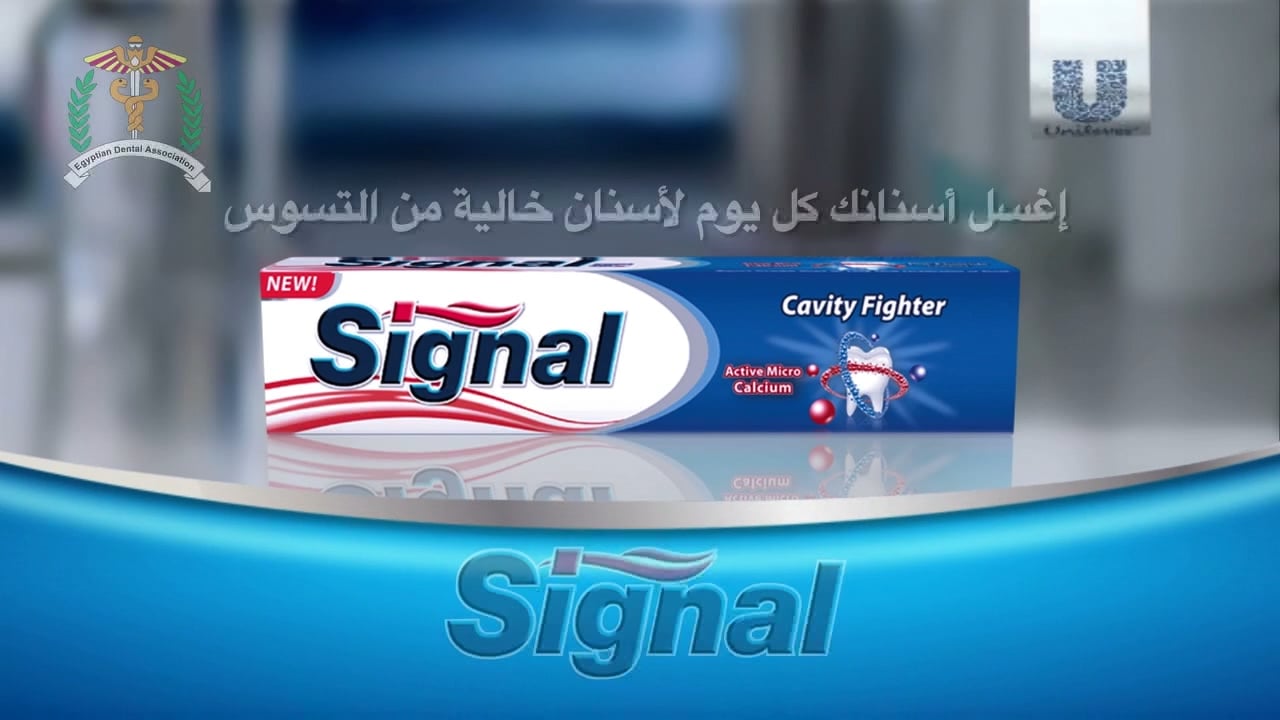 Signal Egypt on Vimeo