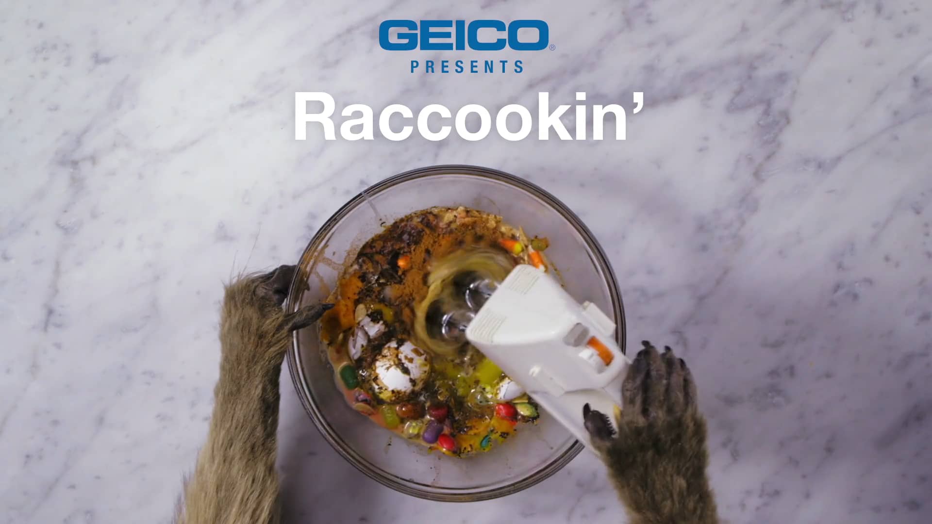 GEICO - Raccookin Intro on Vimeo