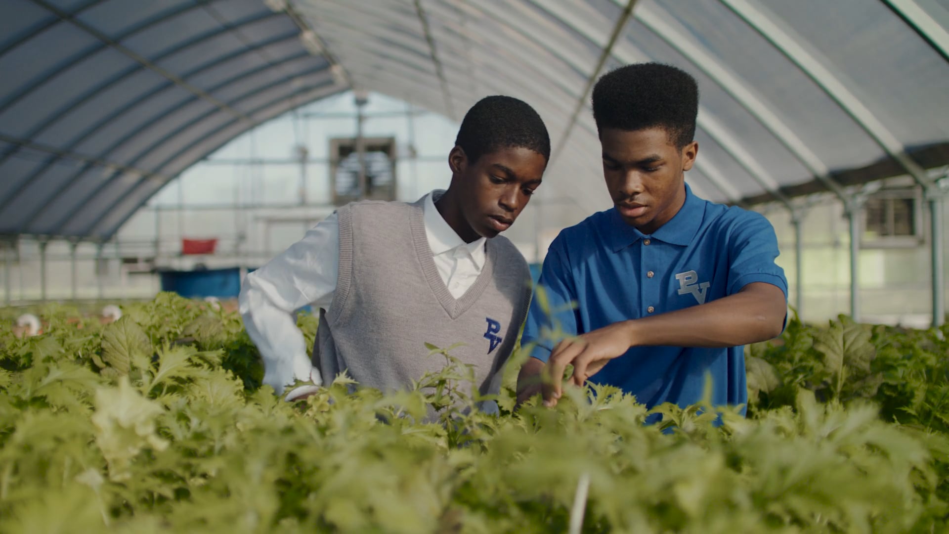 Pro-Vision Academy: About Us on Vimeo