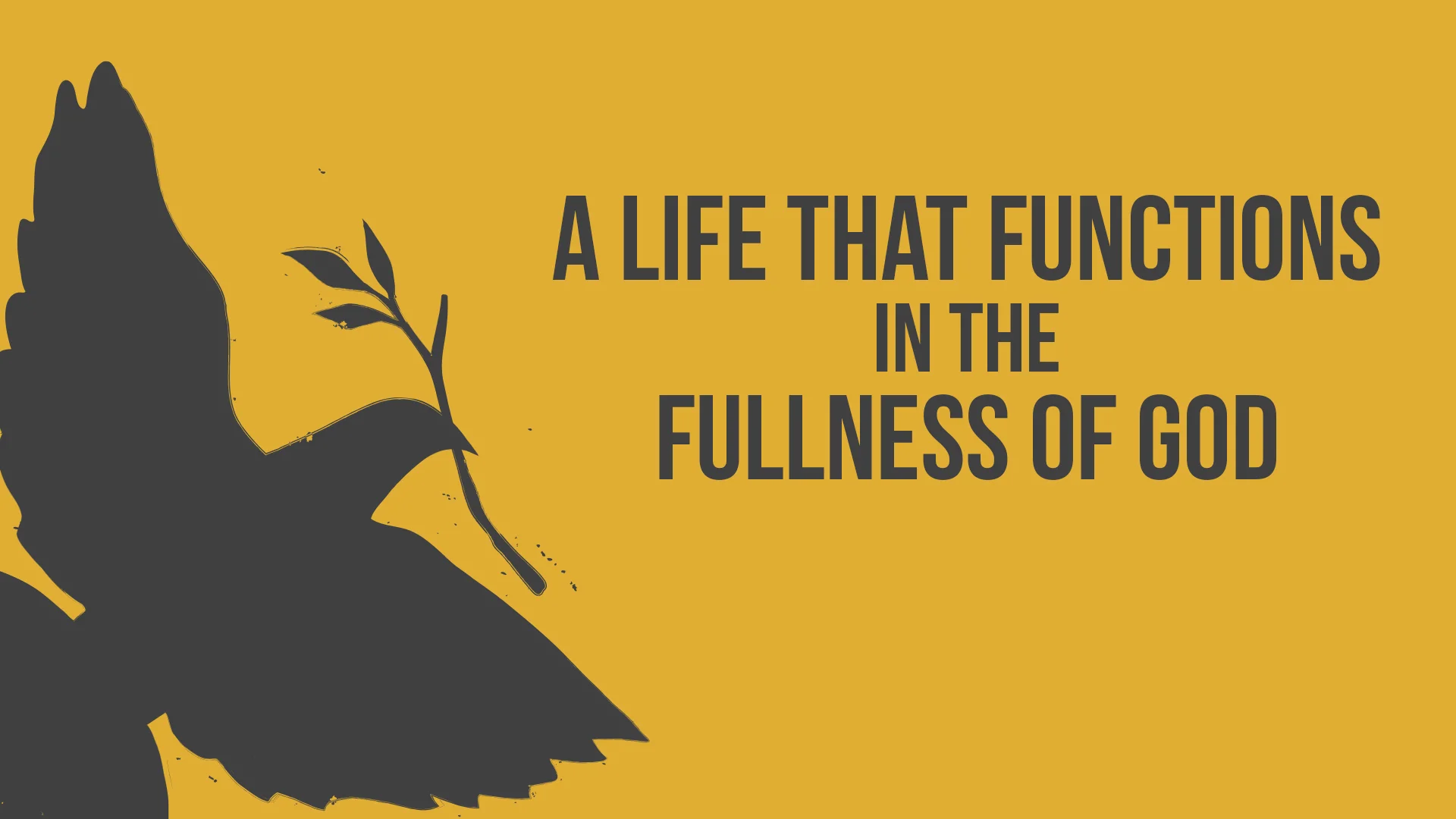 2018-05-20 ~ A Life That Functions in the Fullness of God on Vimeo