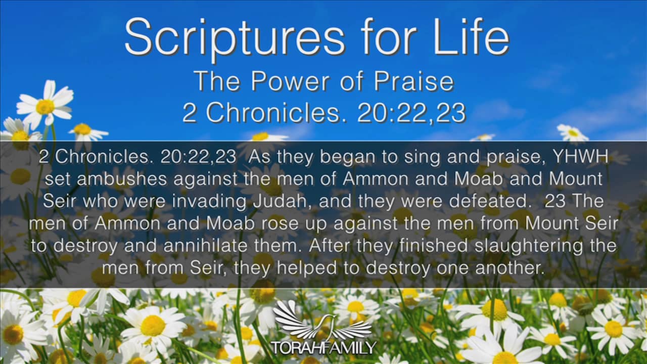 Scriptures for Life | The Power of Praise on Vimeo