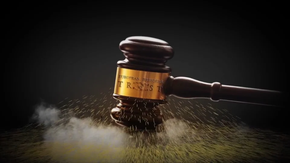 Https Vimeo 295638561