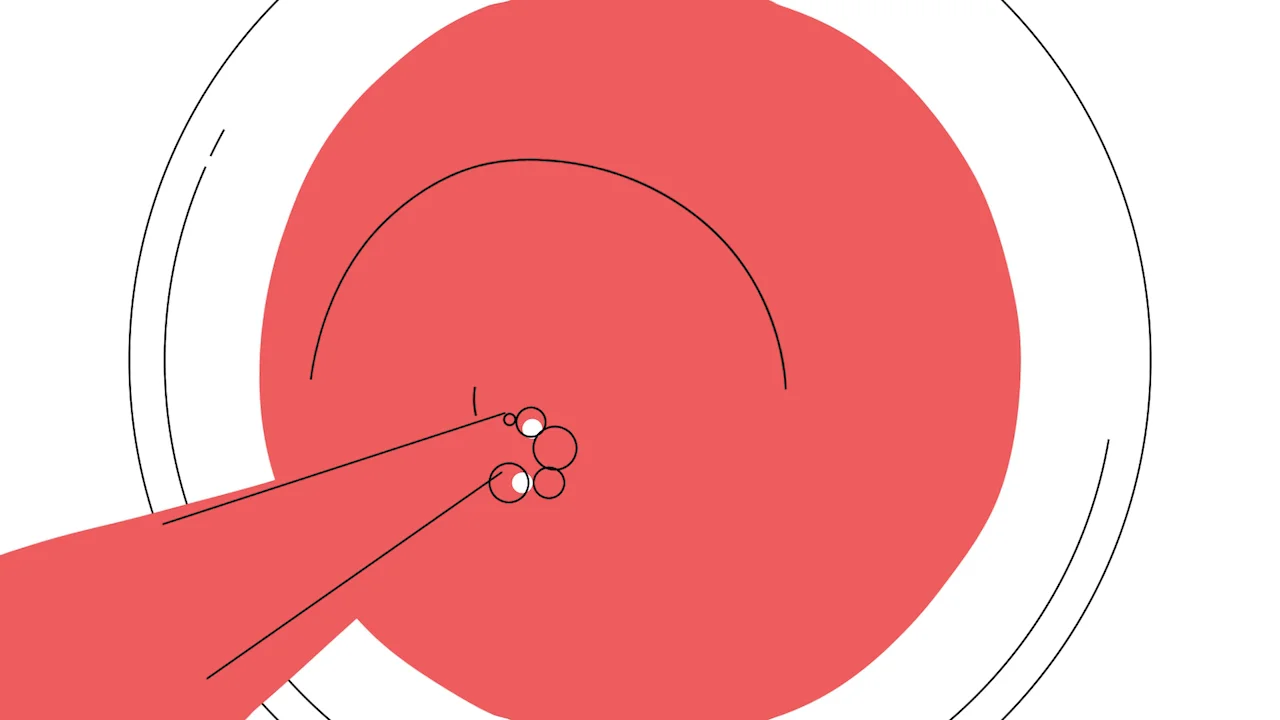 Hayden Cook Motion Designer