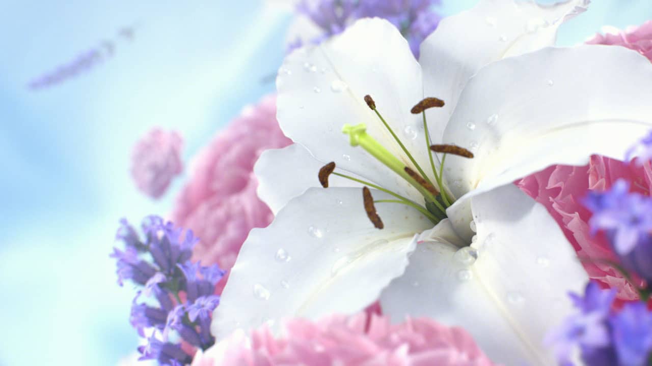 Lenor Freshness Greek on Vimeo