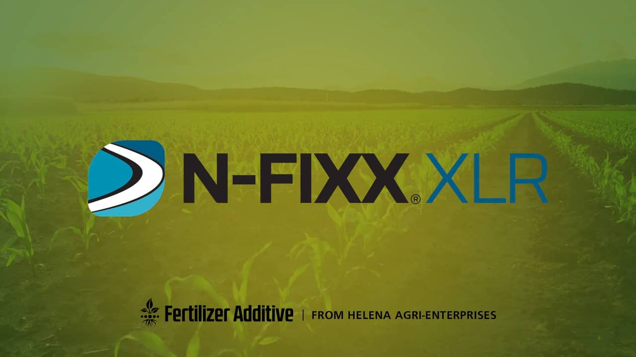 N-Fixx XLR - Excellent Stability. Minimal Input. on Vimeo