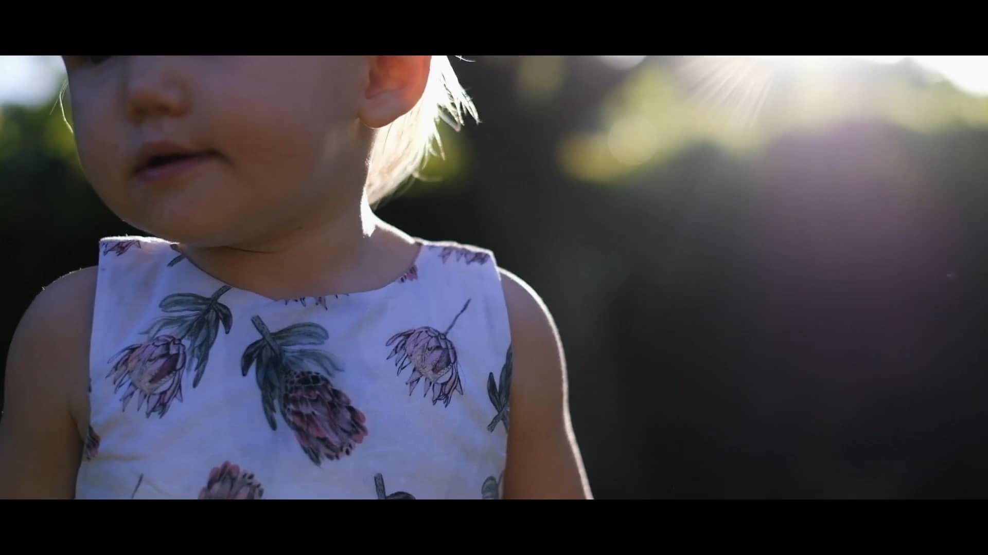Sprout on Vimeo