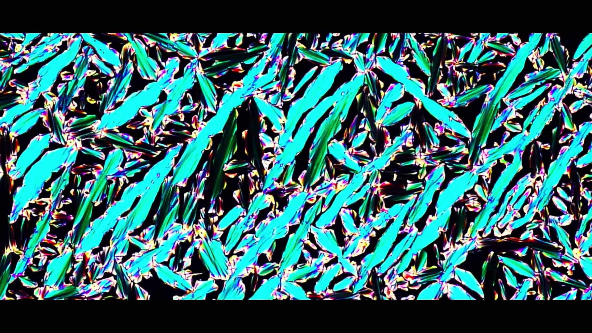 Max Cooper - Music of the Tides - Official Video by Ben Outram on Vimeo