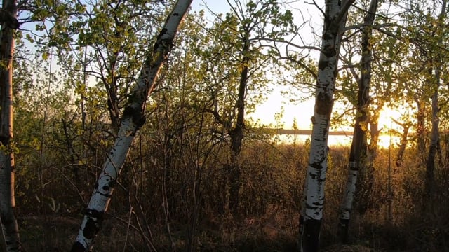 North Edmonton Landscape - Free video on Pixabay