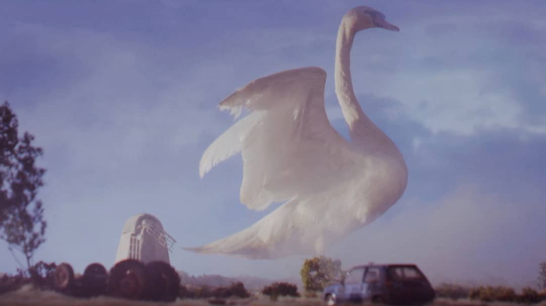 King Creosote & Jon Hopkins - Third Swan on Vimeo