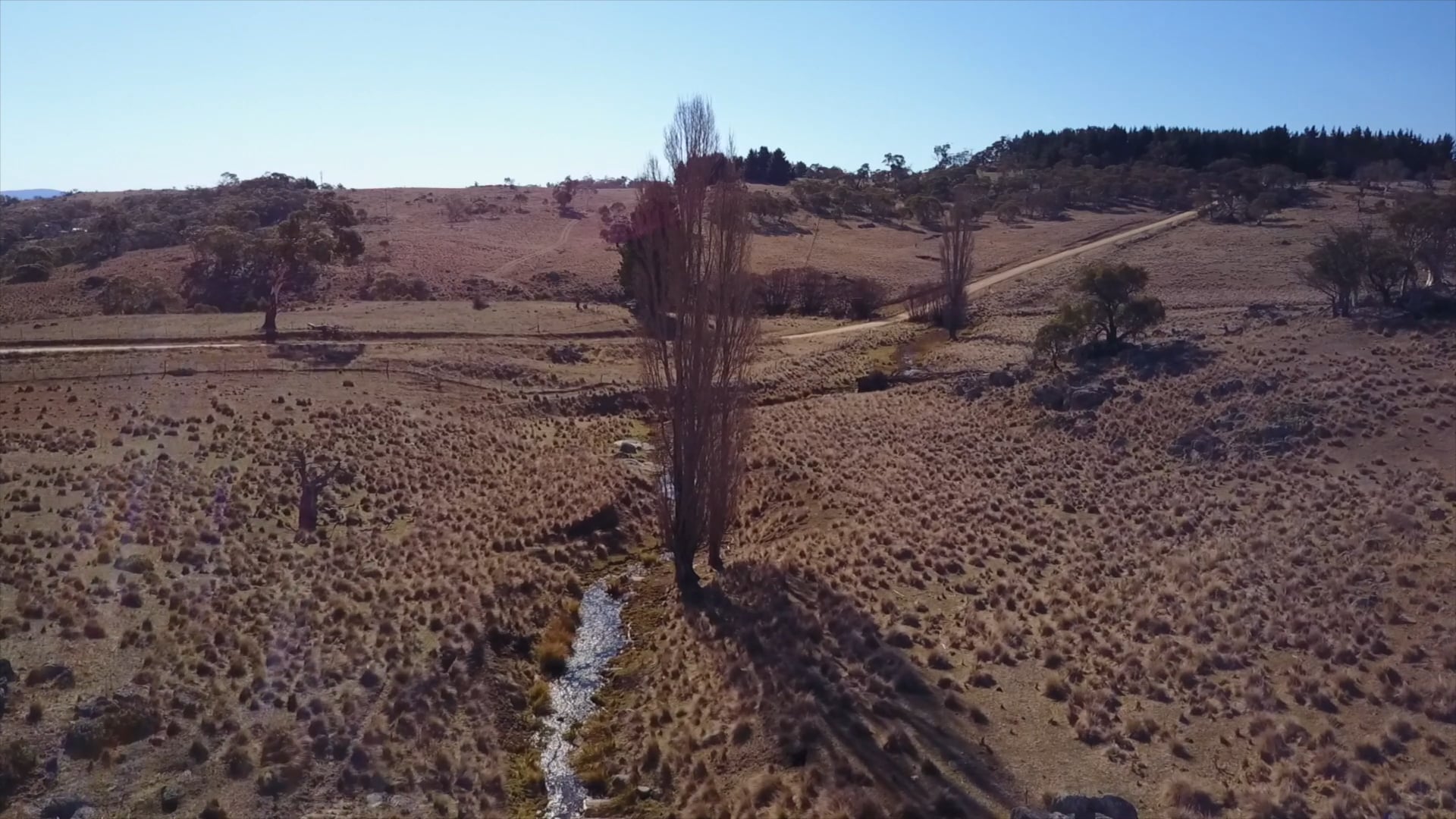 Tin Mine Paddock on Vimeo