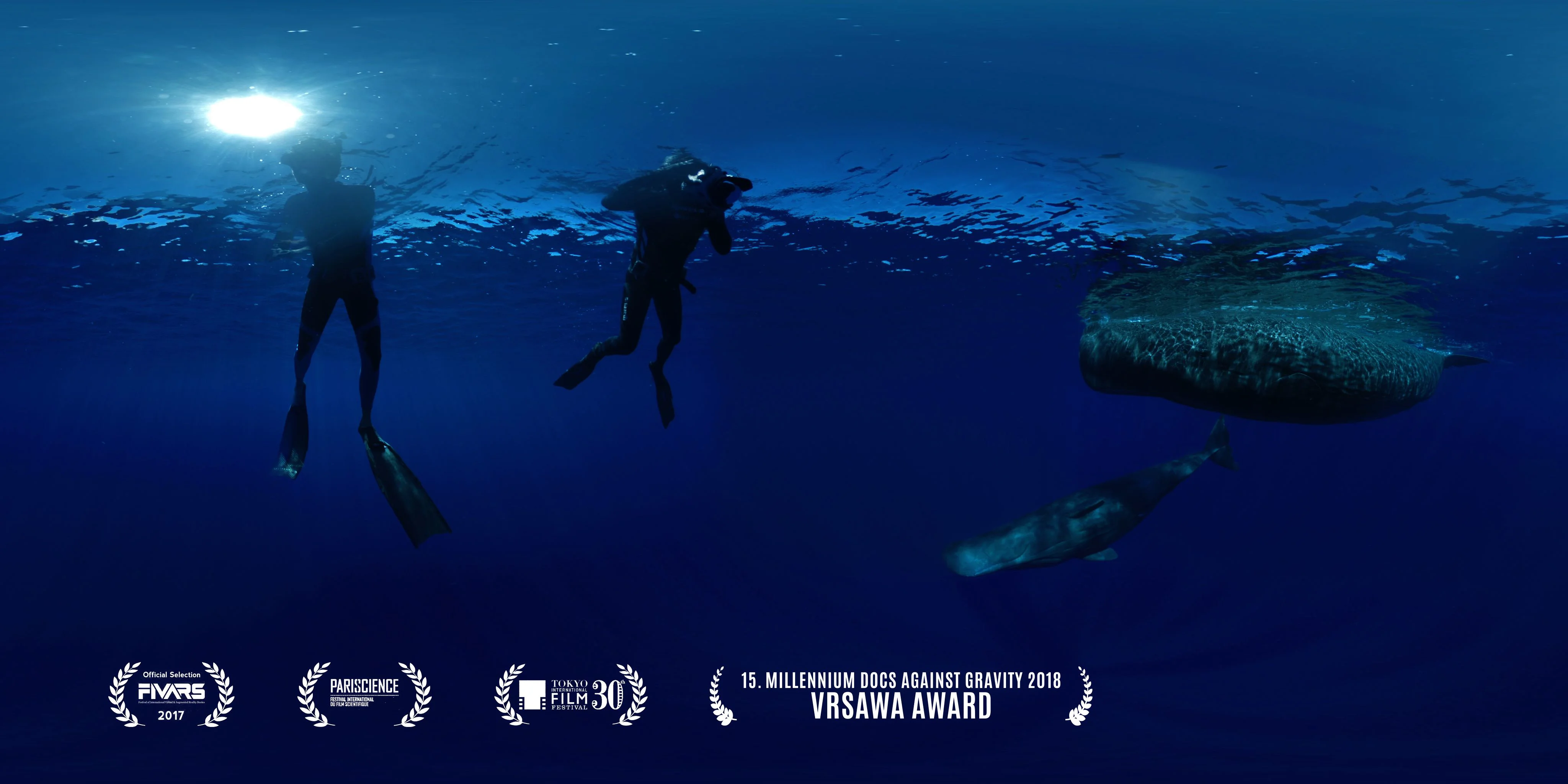 Dolphin Man VR - French teaser on Vimeo