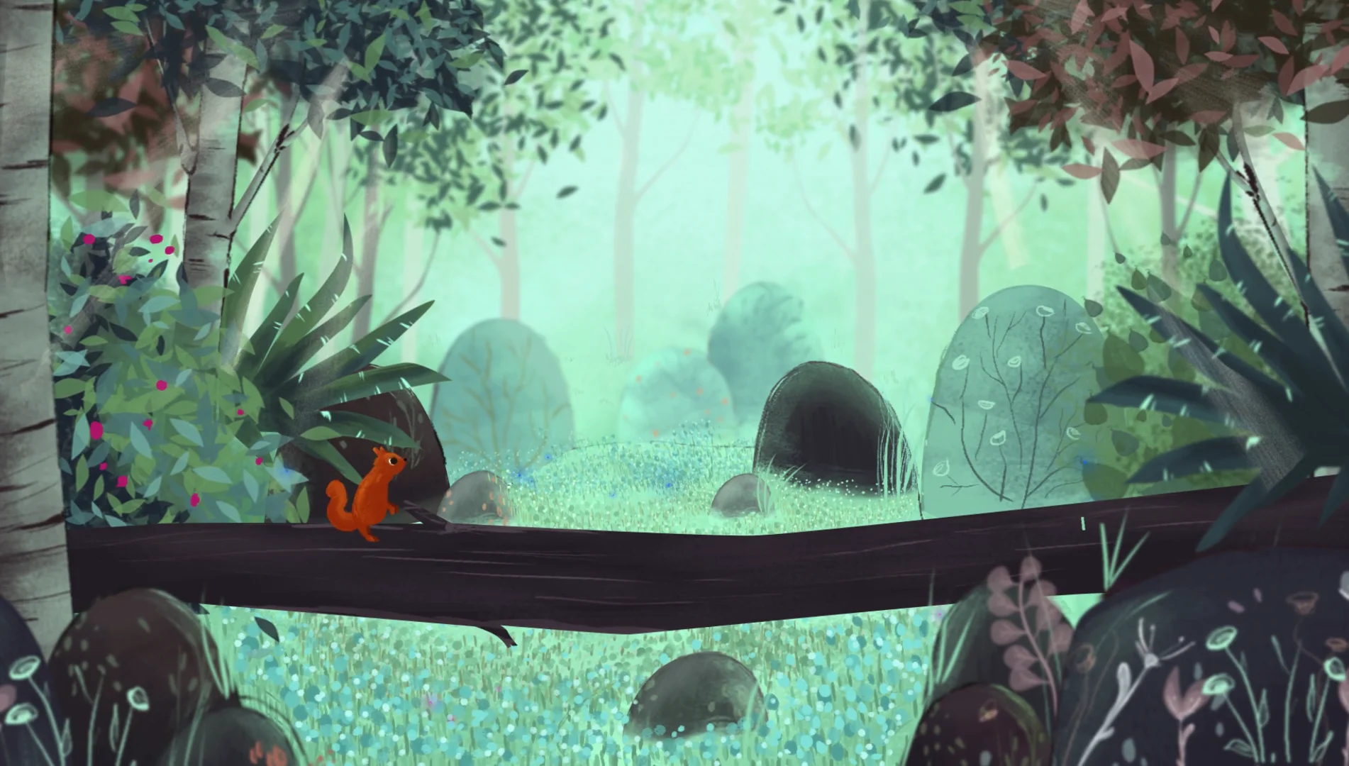 Forest on Vimeo
