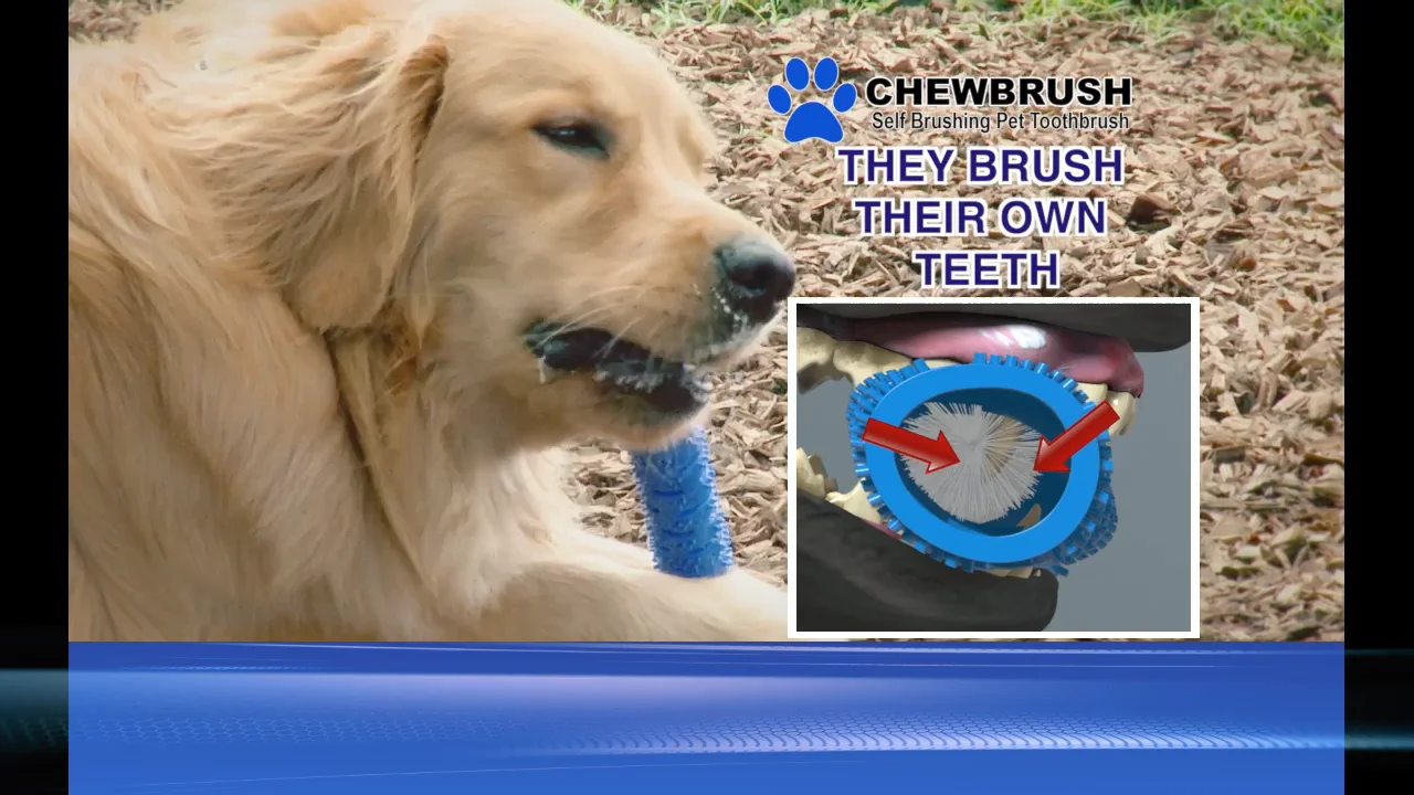 Chewbrush For Dogs and Cats on Vimeo