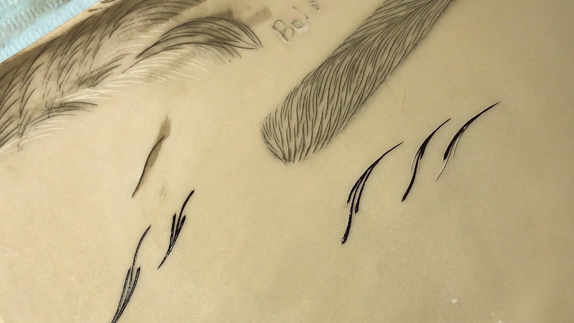 Fractal Hair Stroke Pattern on Vimeo