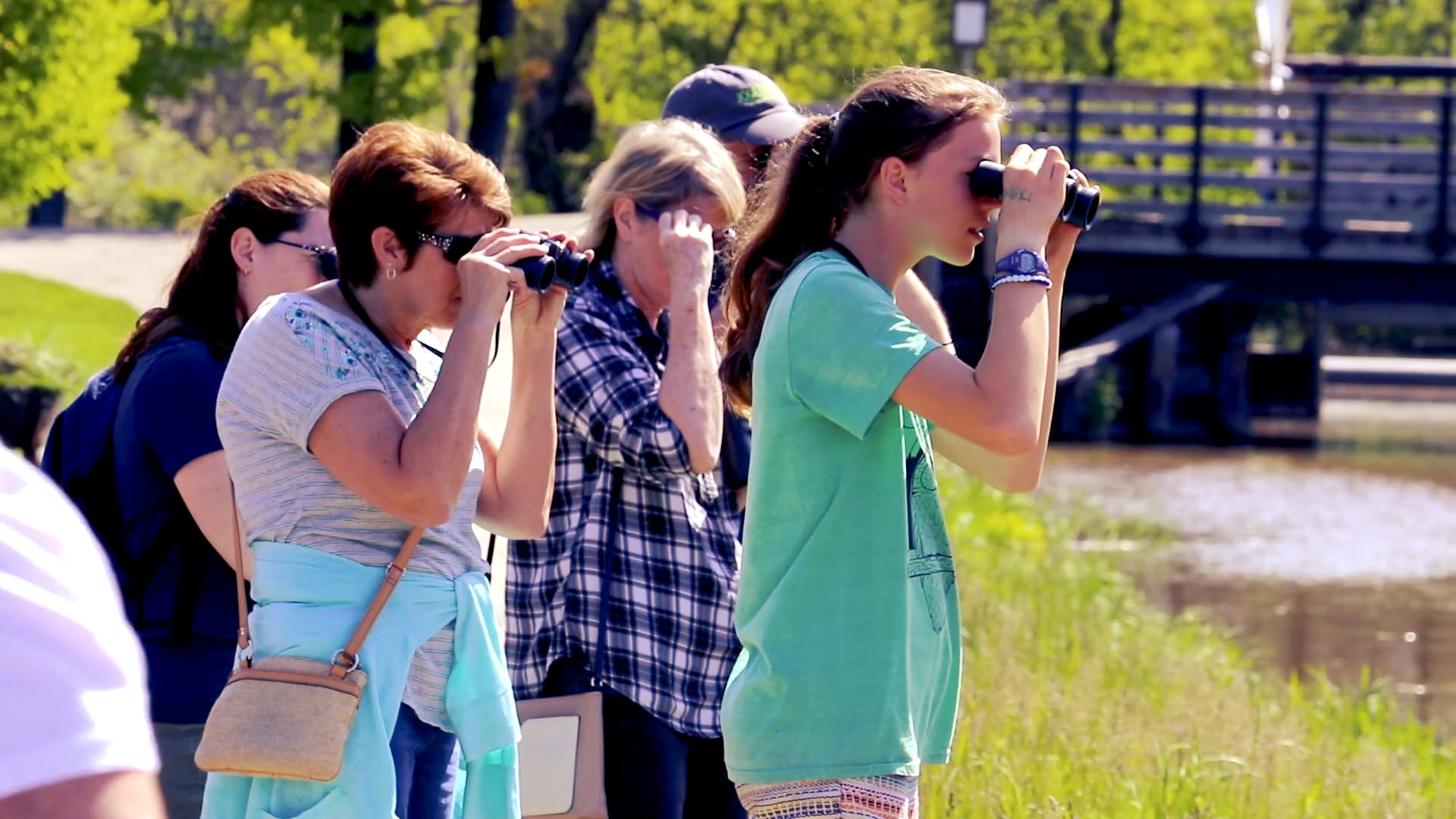 Beginning Birding Class on Vimeo