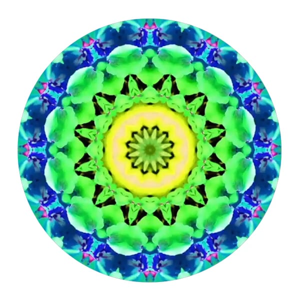 Mandala on Vimeo