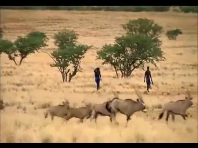 Milking the Rhino | Roco Films