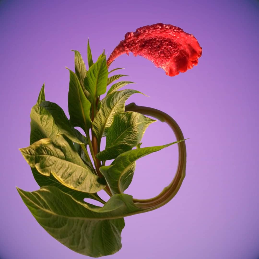 36daysoftype on Vimeo