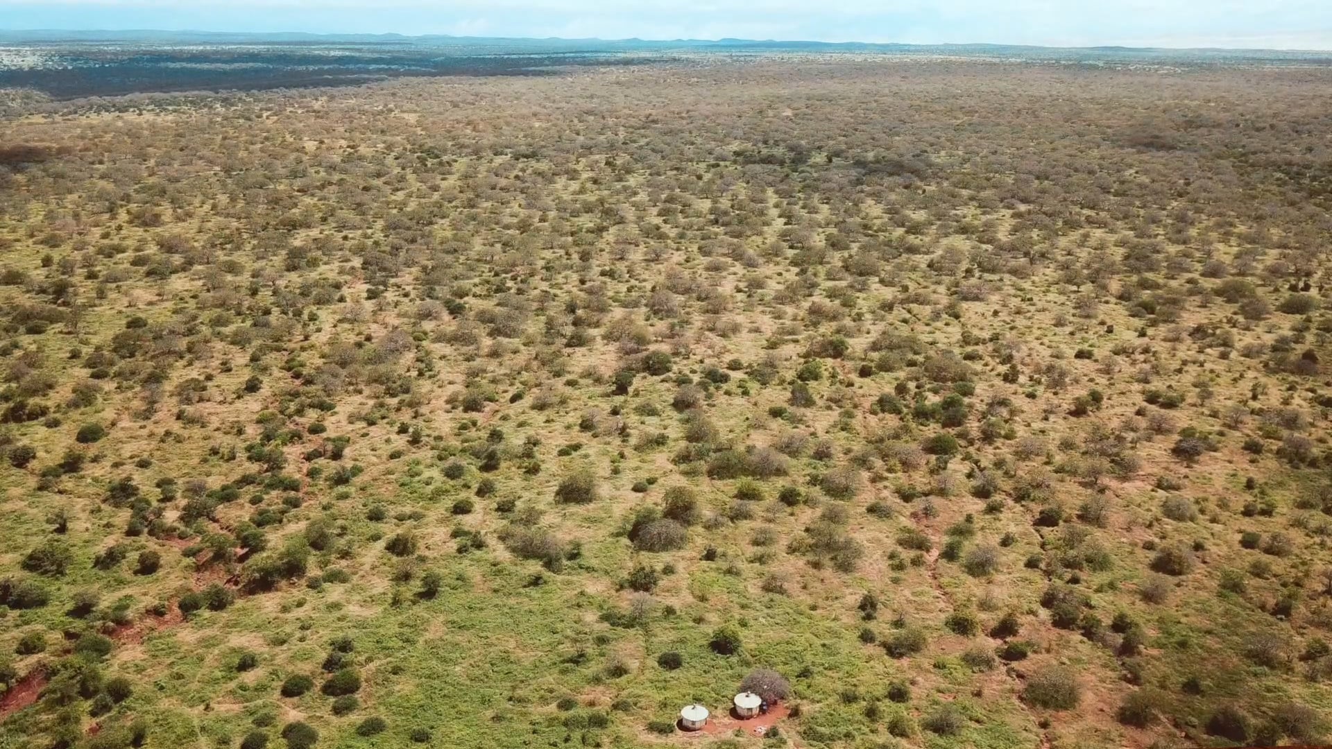 Transformation Kuku HD on Vimeo