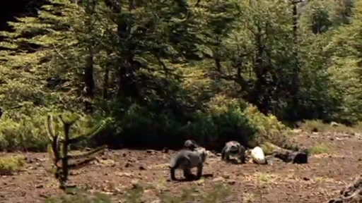 Walking With Dinosaurs BBC - 6 of 6 - Death of a Dynasty on Vimeo