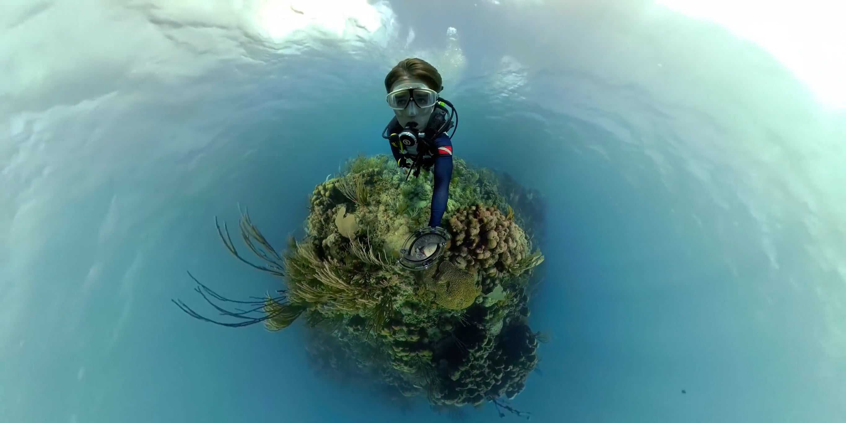 Cruising the Coral Reef - 360bubble GoPro Fusion Underwater Housing on ...