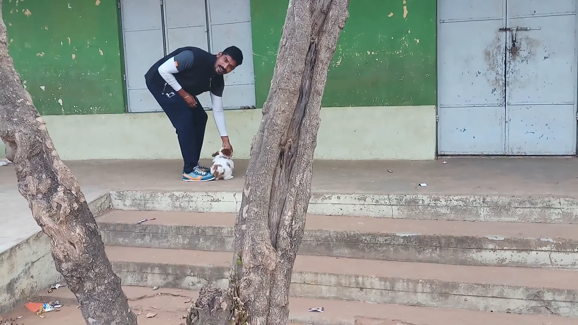 Sugu's Dog Artistry ( Recall DARCUS) on Vimeo