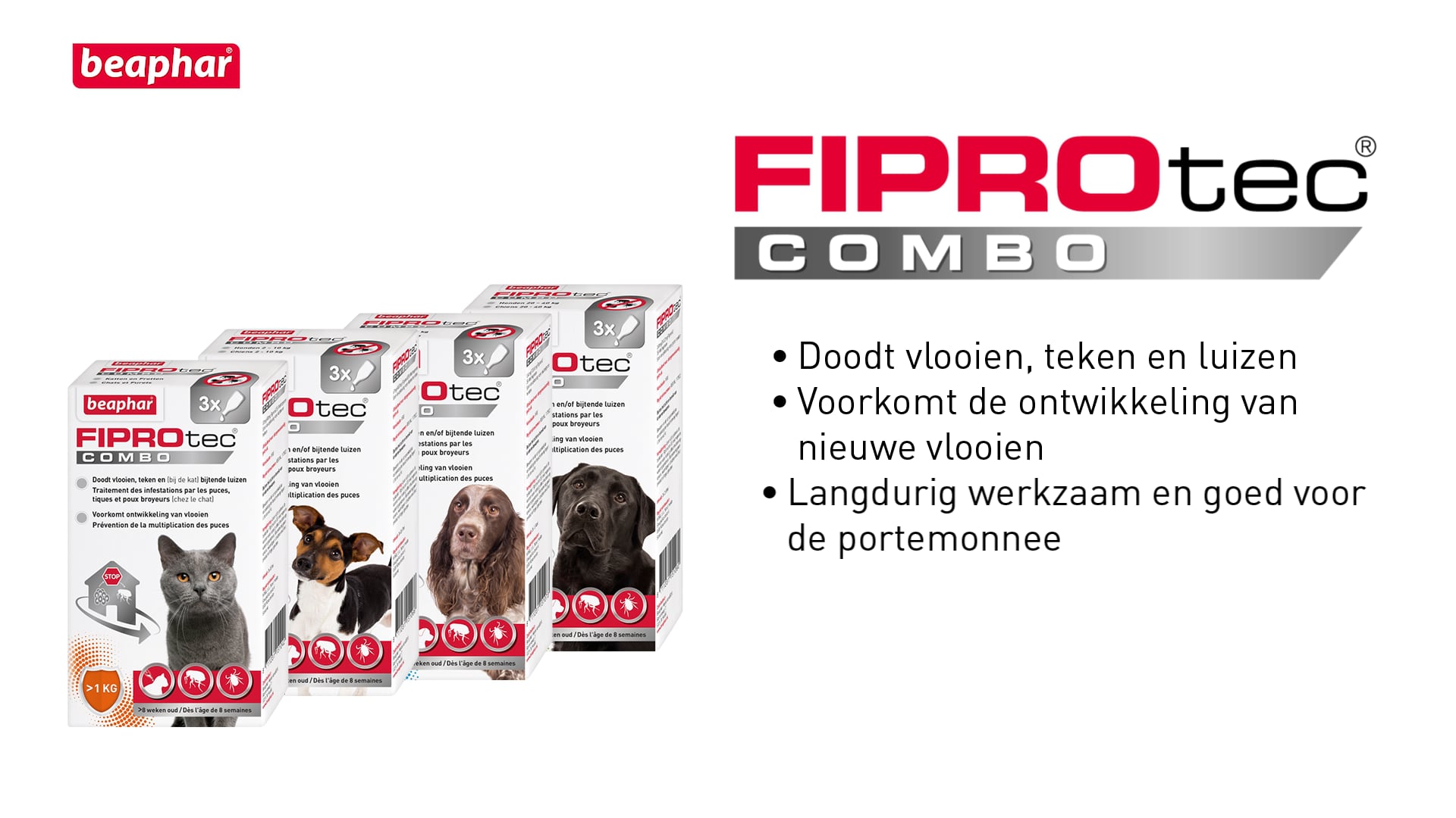 FIPROtec_COMBO_promo (1) on Vimeo