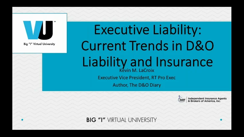 Executive Liability: Current Trends in D&O Liability and Insurance on Vimeo
