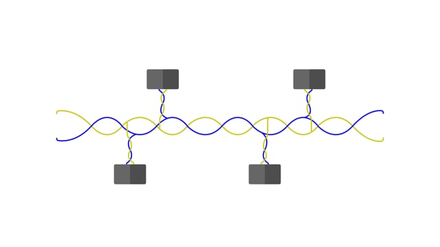 Wiring Fundamentals: CAN Communications