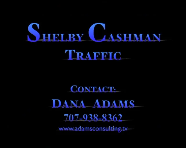 SHELBY CASHMAN TRAFFIC on Vimeo