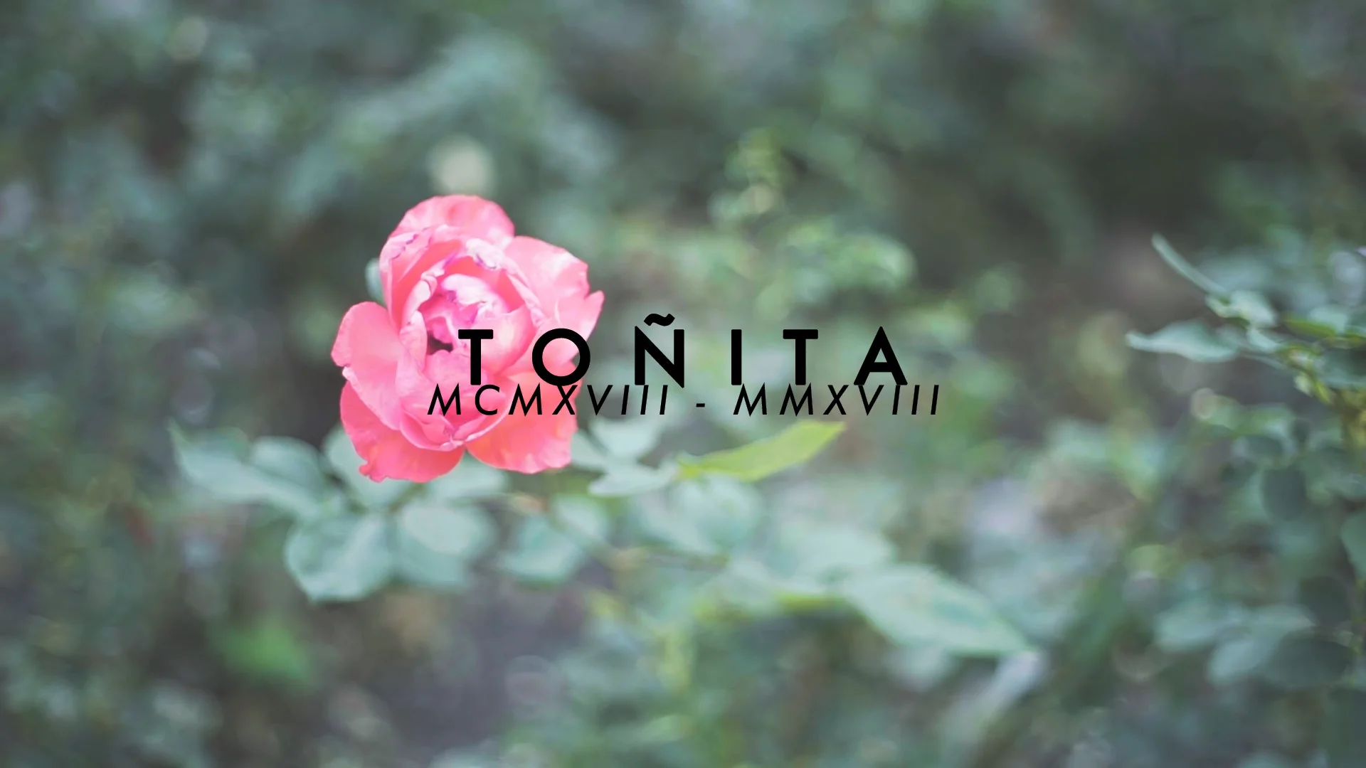 Toñita (MCMXVIII - MMXVIII) on Vimeo