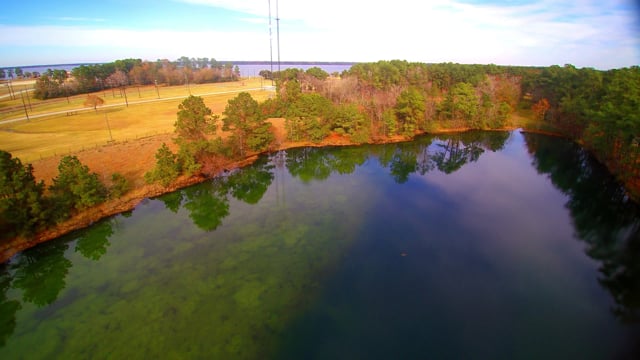 Green Pond Shallow Bottom Nature - Free video on Pixabay