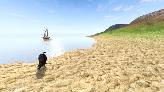 Landscape Sea Bird - Free video on Pixabay