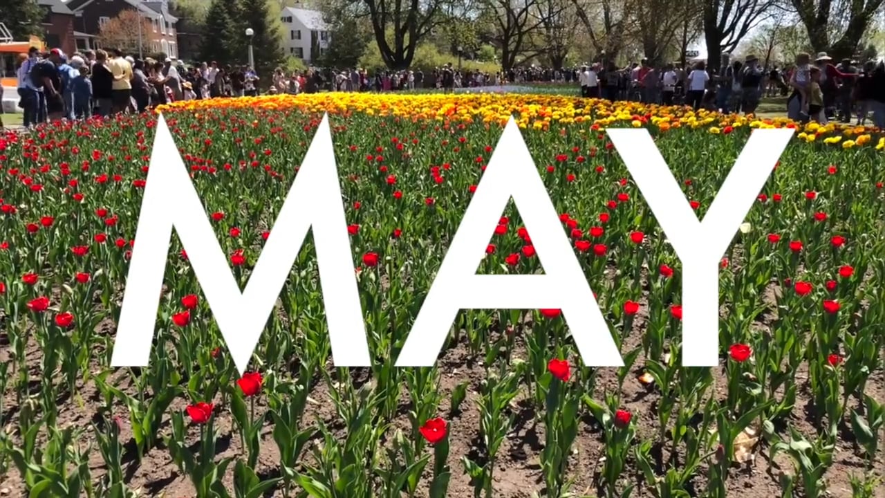 2018 May on Vimeo
