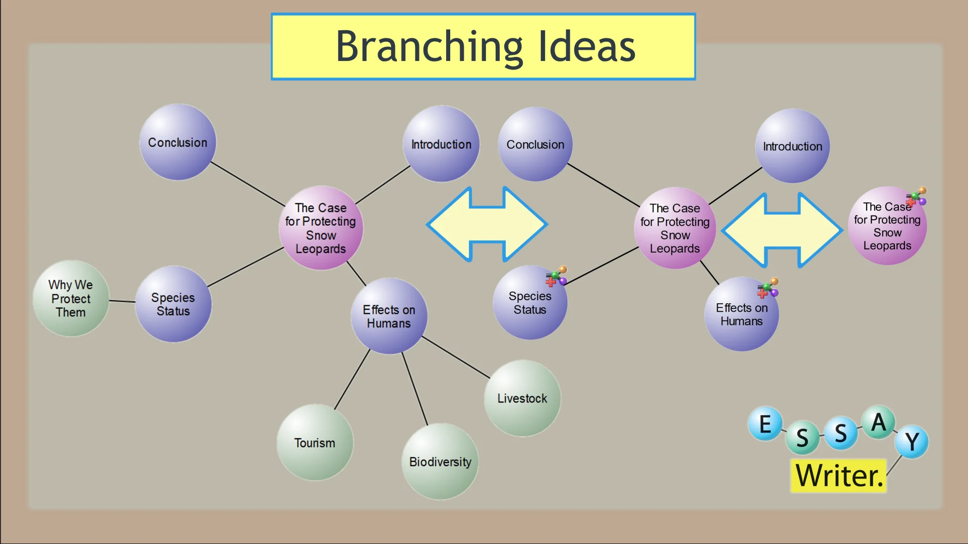 Branching Ideas on Vimeo