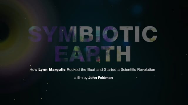 Ann Tegnell on Vimeo