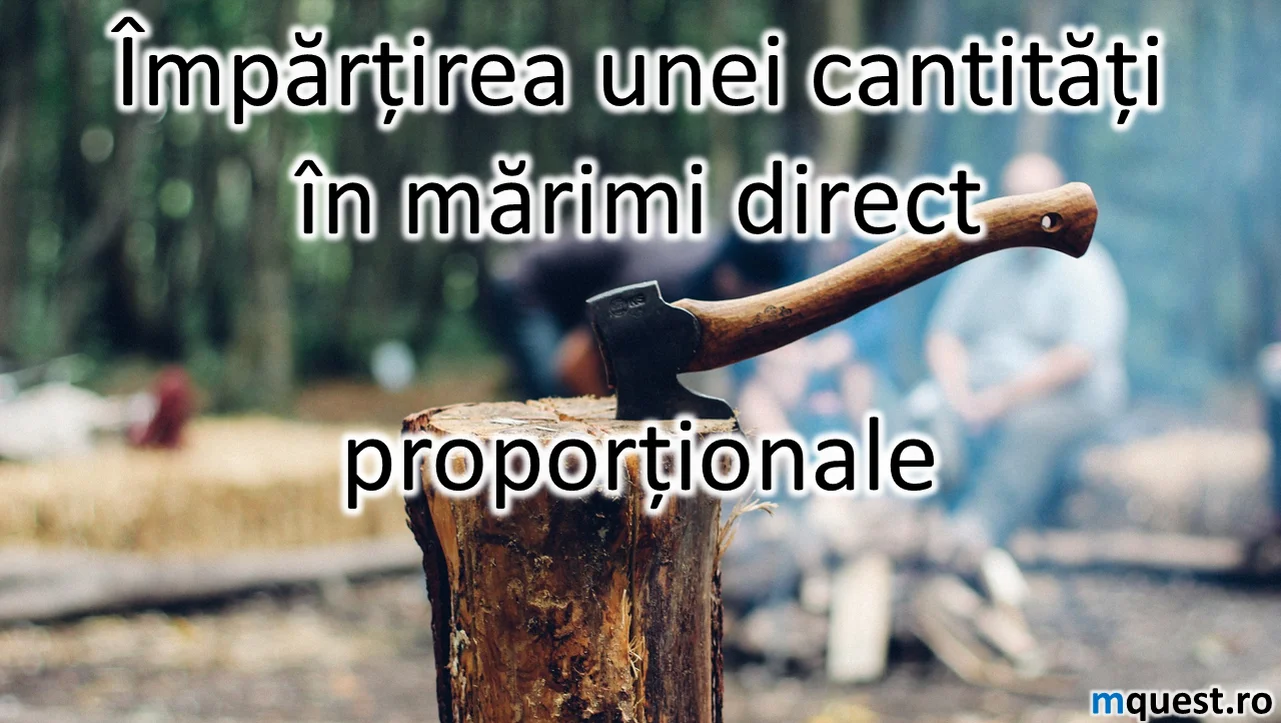 Imprtirea unei cantitati in marimi direct proportionale on Vimeo