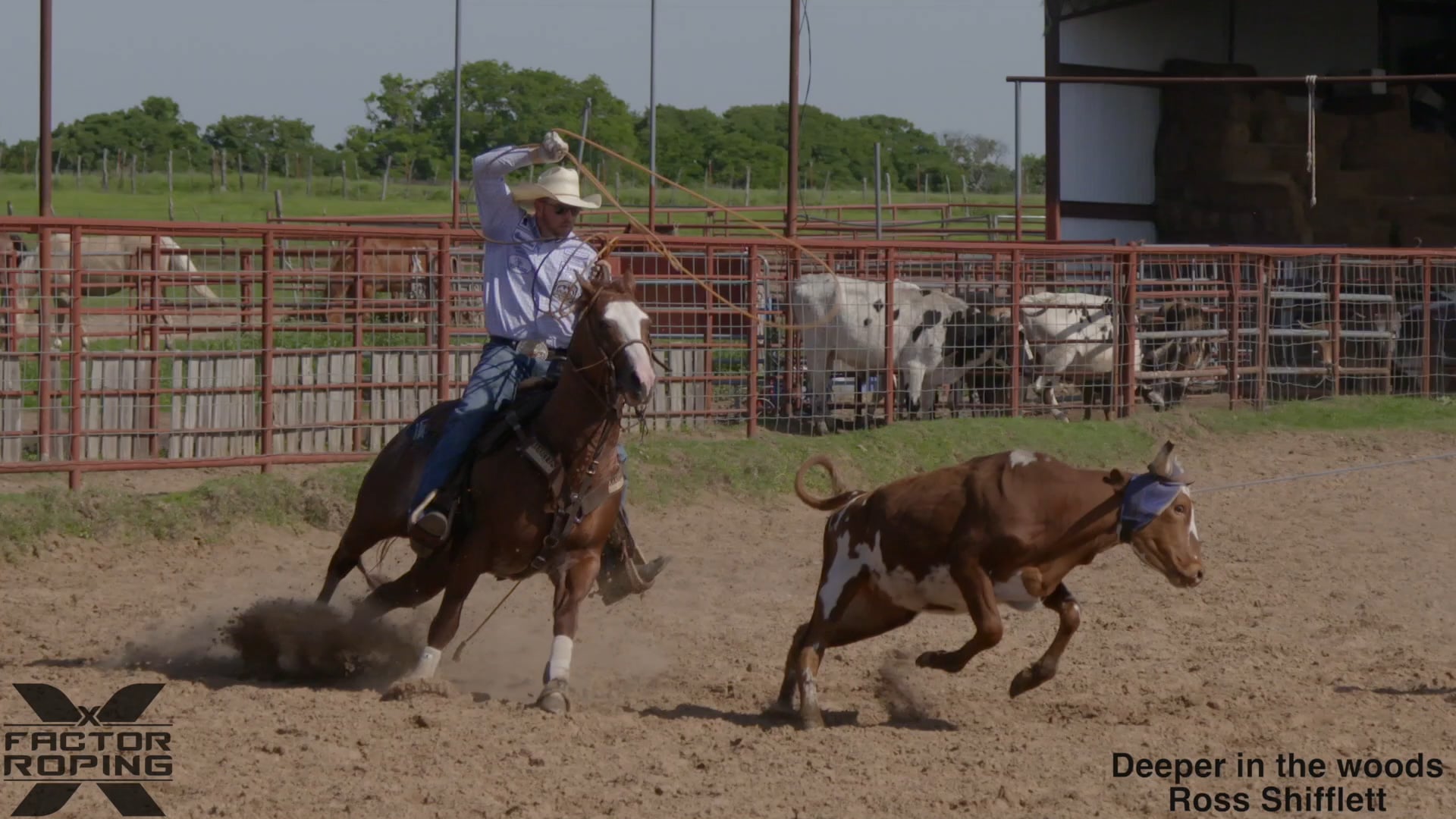 Why You Can Over Do It On Your Training with Joseph Harrison | X Factor ...