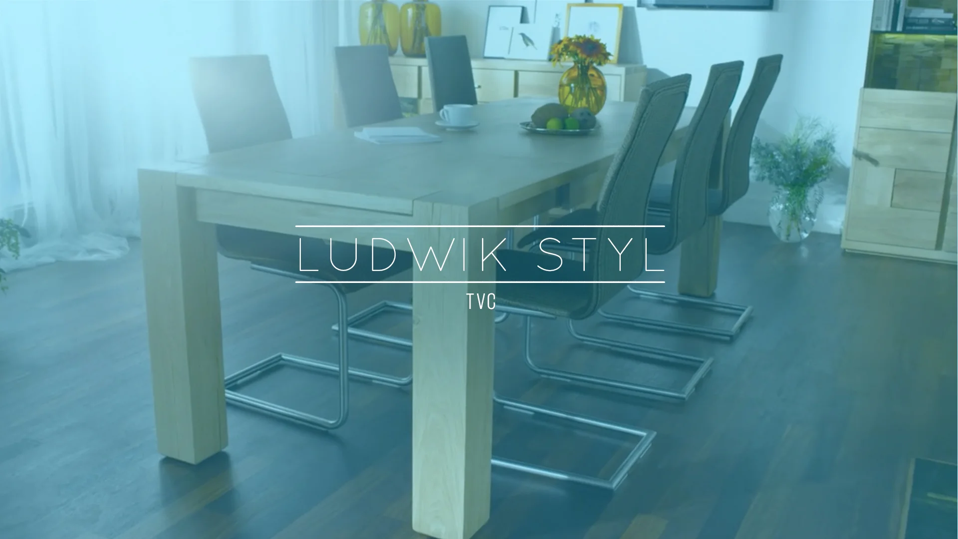 LUDWIK STYL - TV 8s on Vimeo