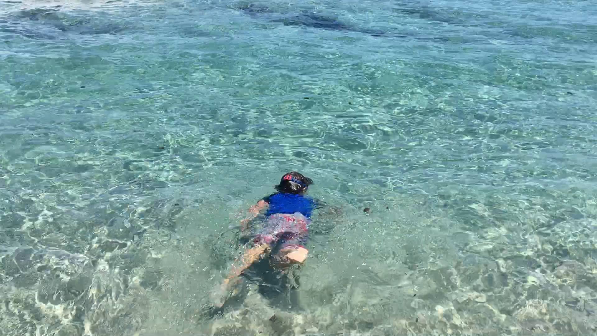 Swimming Diego on Vimeo