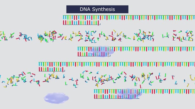 DNA sequencing — Science Learning Hub