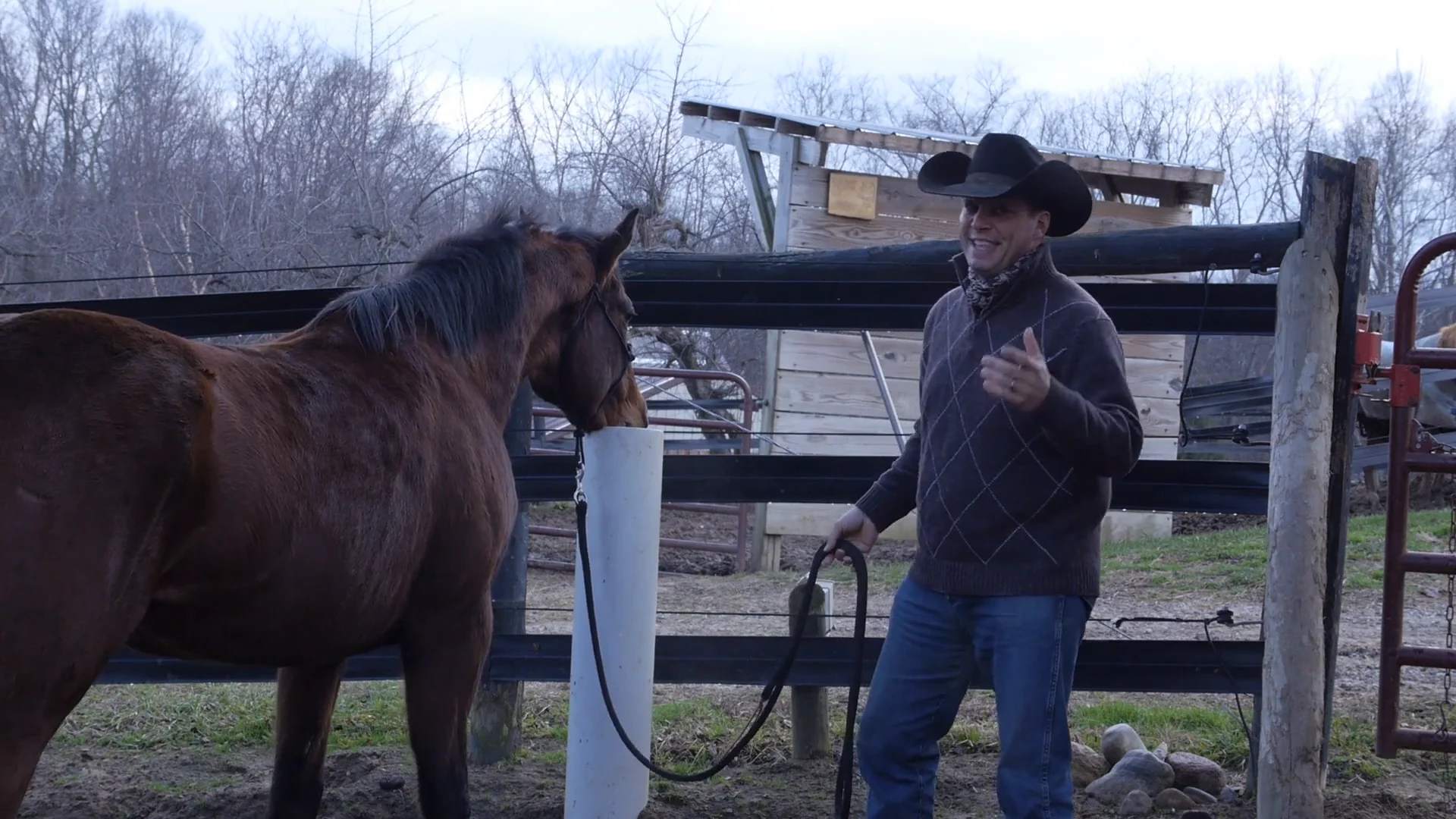 Drinking Post Waterer Training