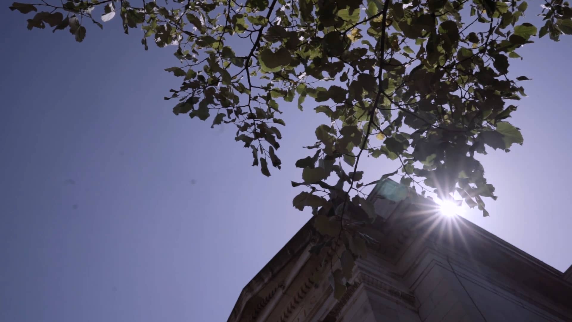 Samuel Alexander Building | University of Manchester on Vimeo