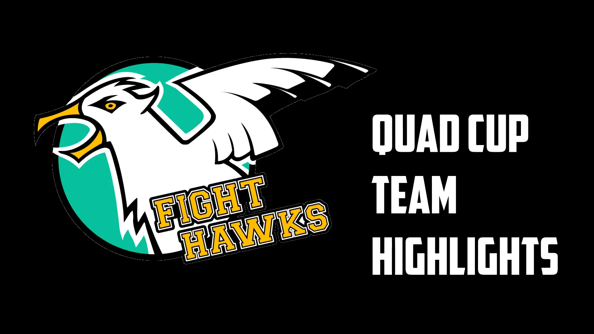 Fight Hawks Highlights on Vimeo