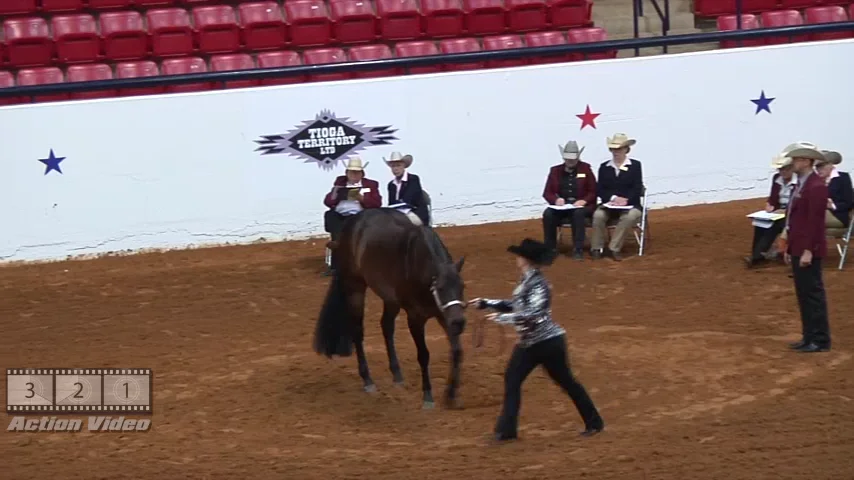 # 266 HOTRODDIN HUMMER SARAH MANGHAM N310 Non-Pro Showmanship at Halter ...