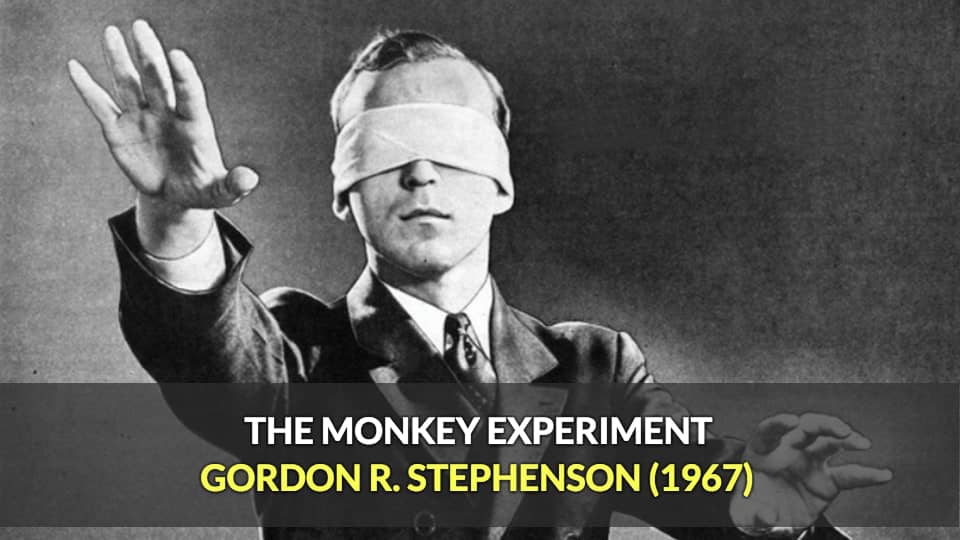The Monkey Experiment. Gordon .R. Stephenson, 1967 on Vimeo