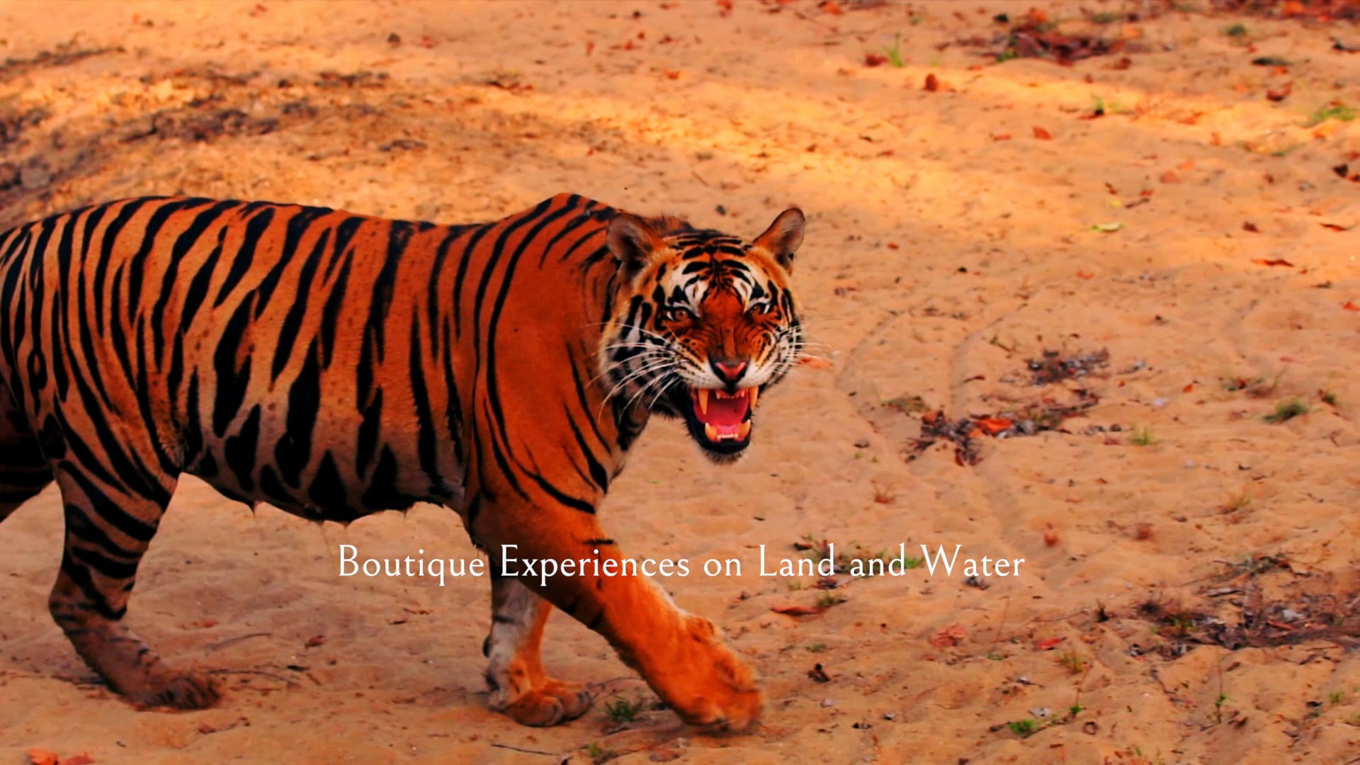 Exotic Heritage Group on Vimeo