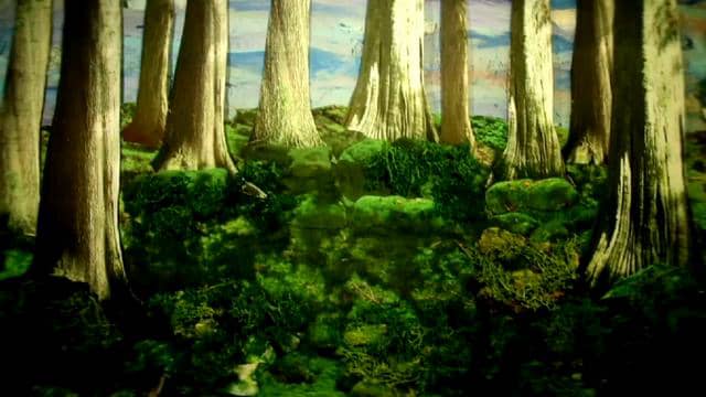 The Moss Witch on Vimeo